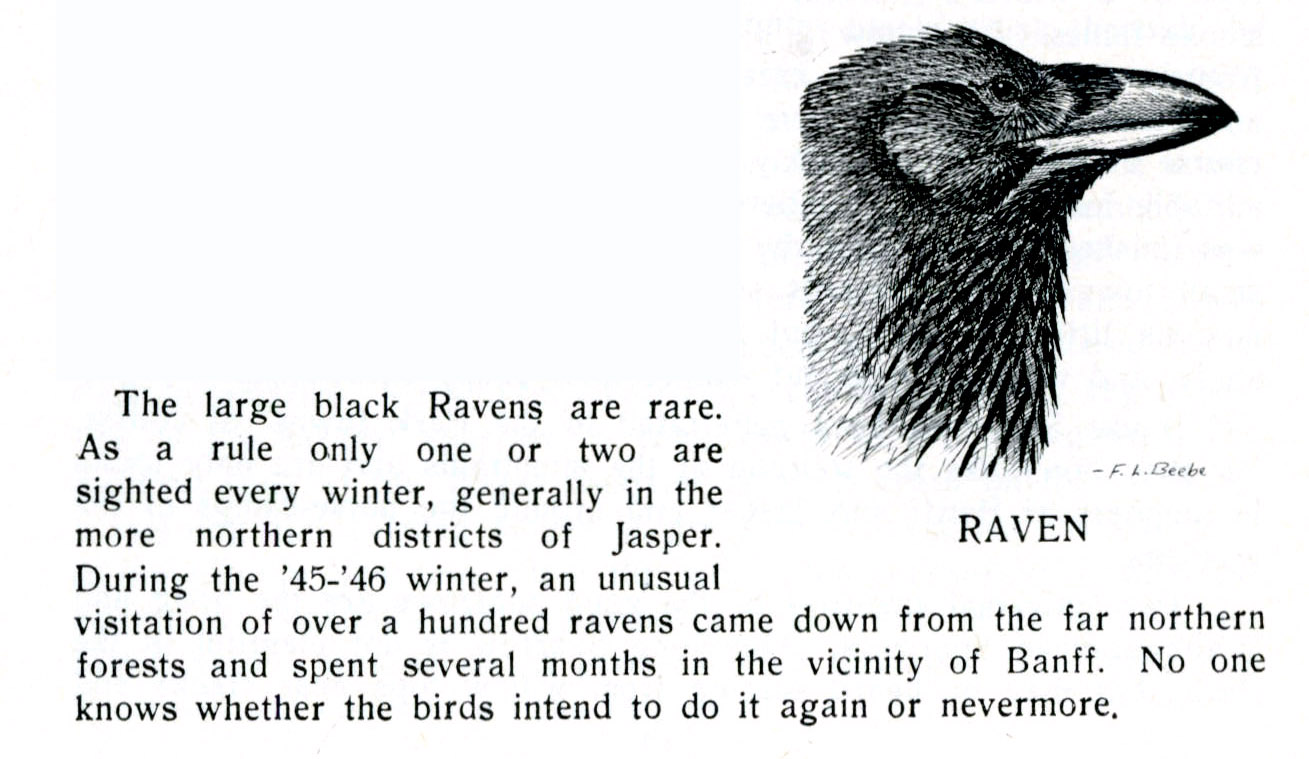 Plot Twist | The Urban Nature Enthusiast