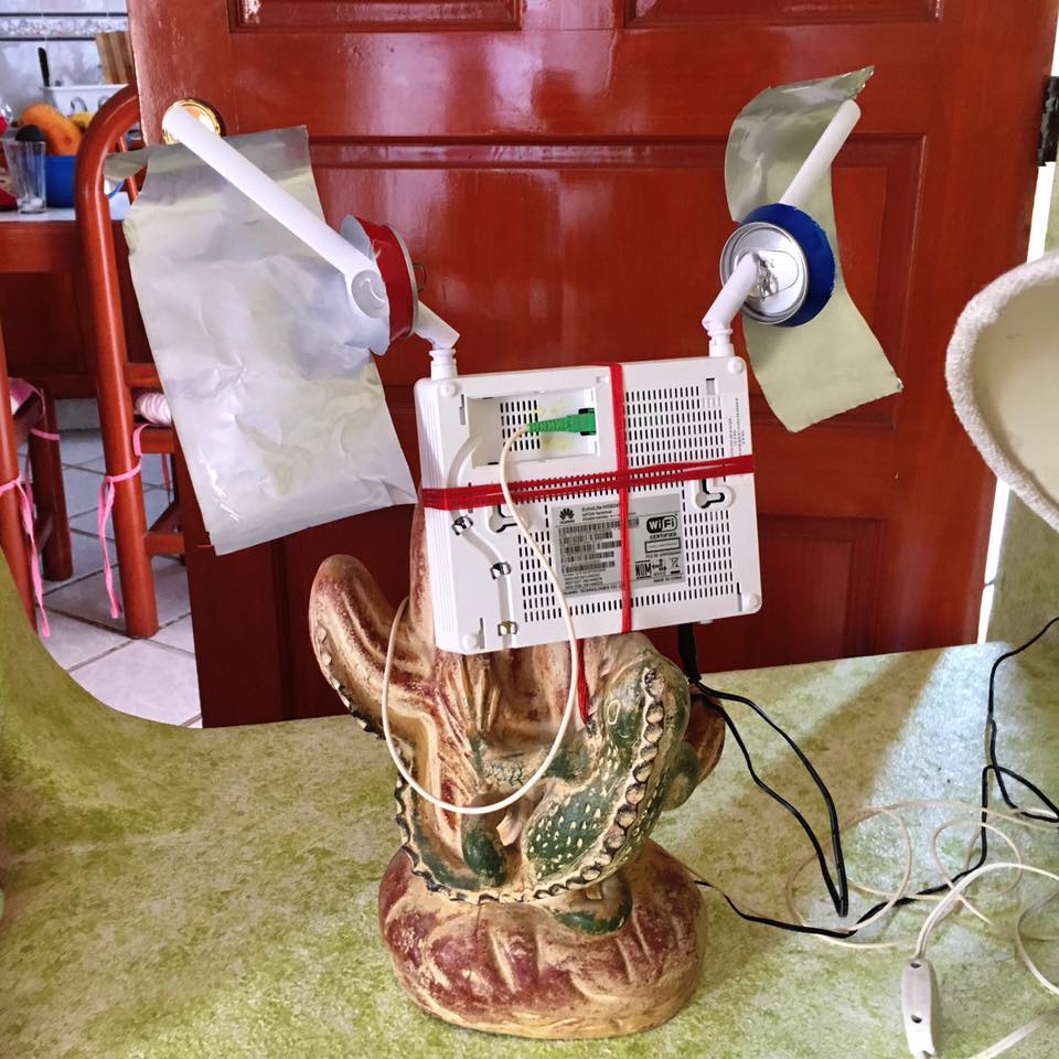 Consider the Grackle … | The Urban Nature Enthusiast