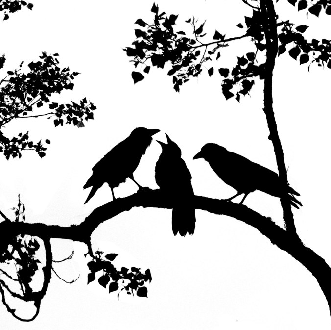 Crow Calligraphy | The Urban Nature Enthusiast