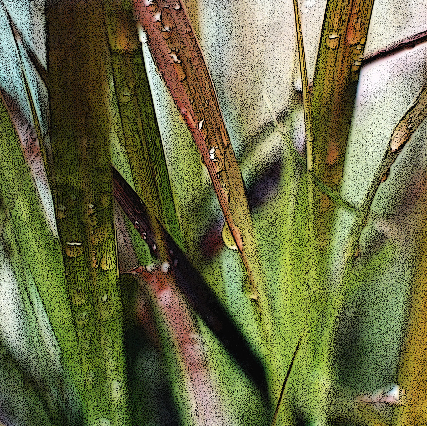 redgrass | The Urban Nature Enthusiast