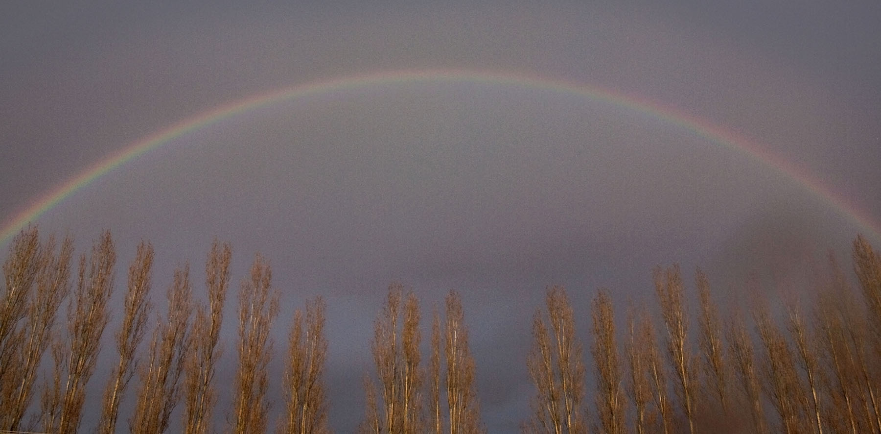 OLYMPUS DIGITAL CAMERA | The Urban Nature Enthusiast