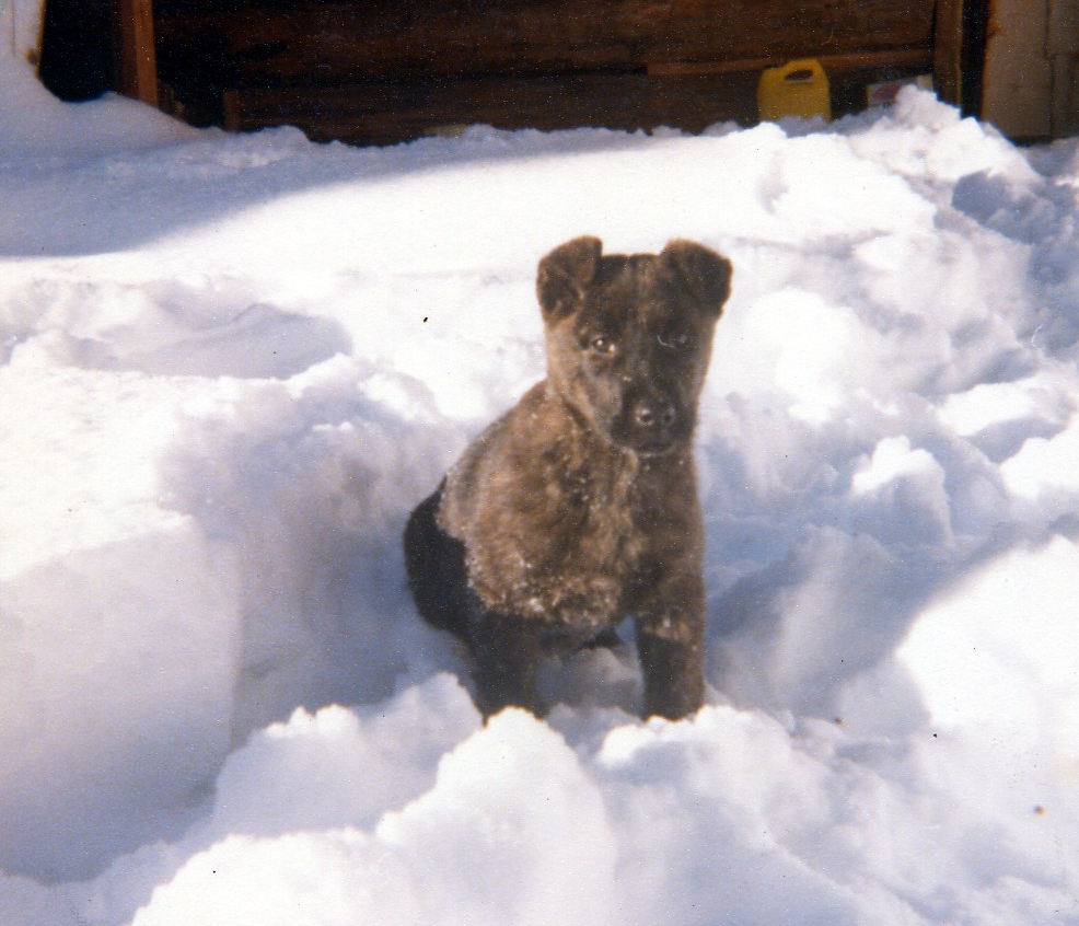 babyfinlay | The Urban Nature Enthusiast