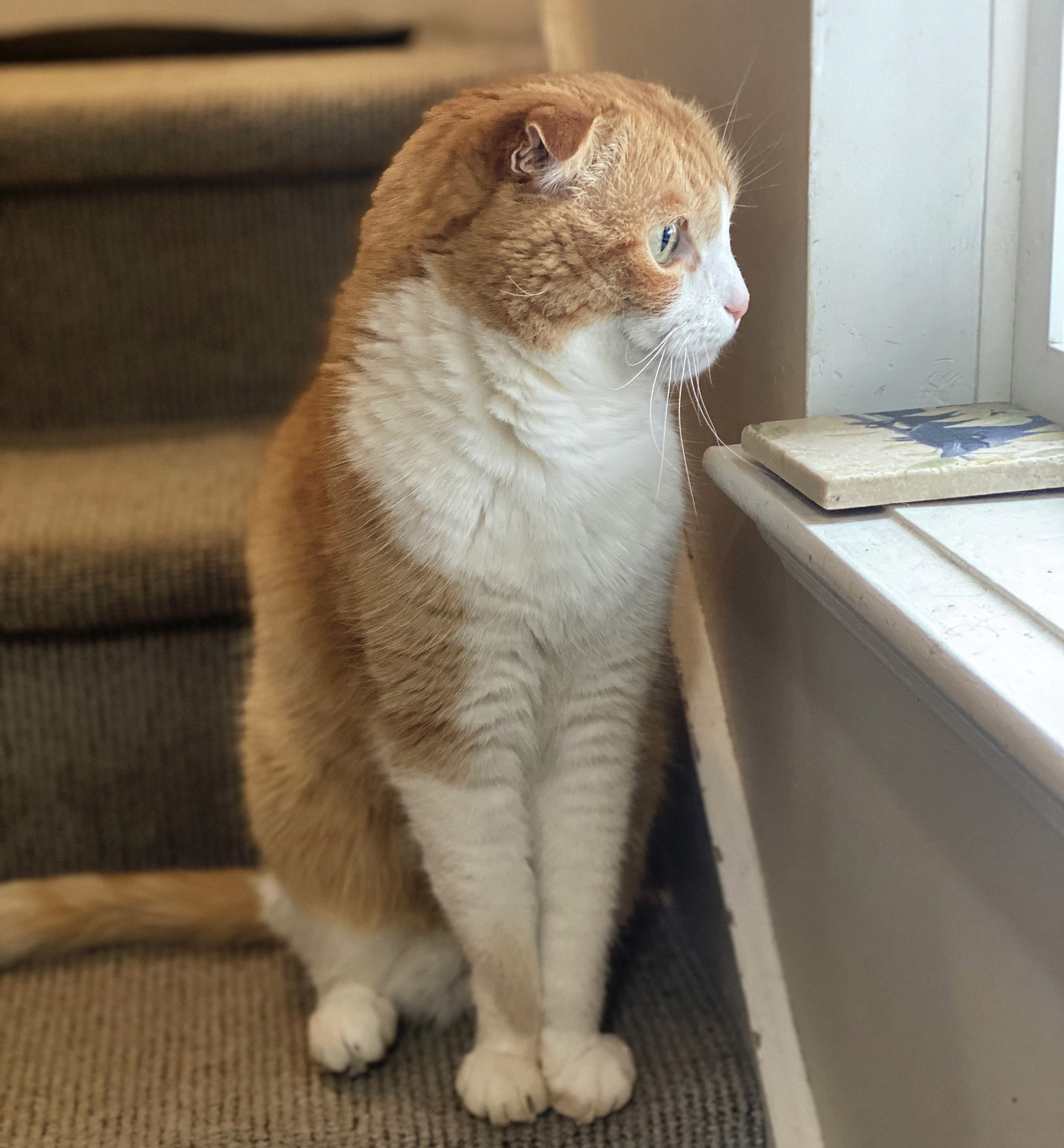 The Edgar Chronicles Continued | The Urban Nature Enthusiast