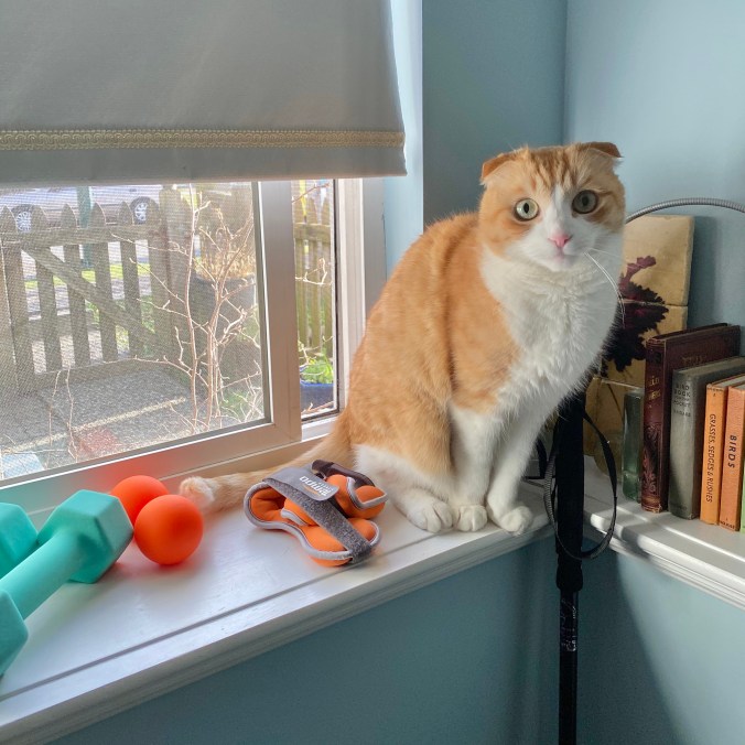 The Edgar Chronicles Continued | The Urban Nature Enthusiast