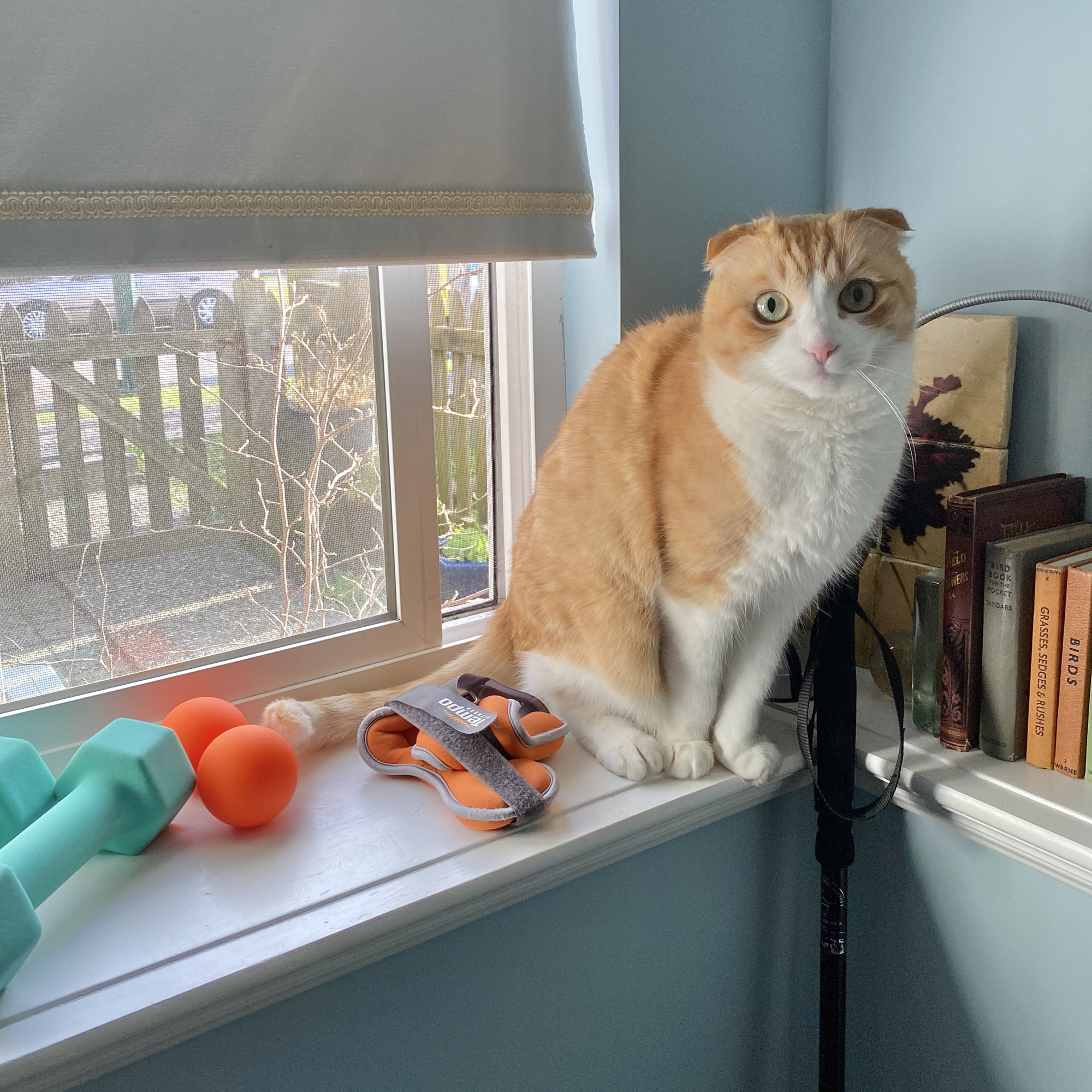 The Edgar Chronicles Continued | The Urban Nature Enthusiast