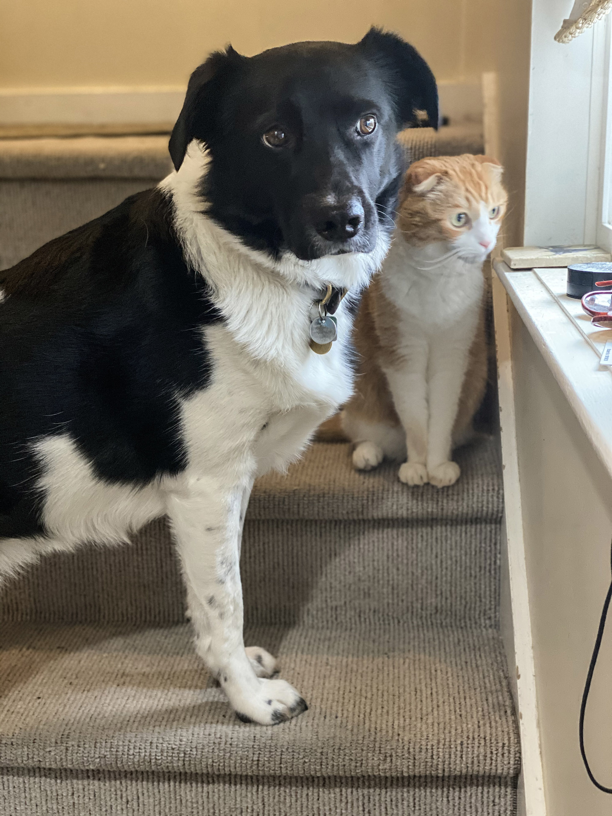 The Edgar Chronicles Continued | The Urban Nature Enthusiast