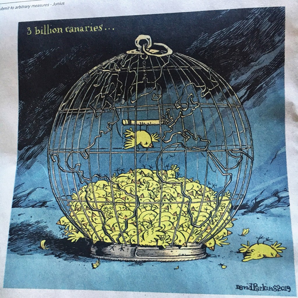 Birds of Judgement | The Urban Nature Enthusiast