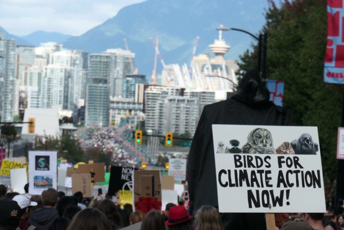 Birds of Judgement | The Urban Nature Enthusiast