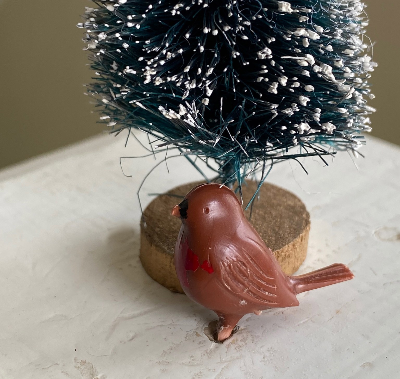 A Tale of Two Robins | The Urban Nature Enthusiast