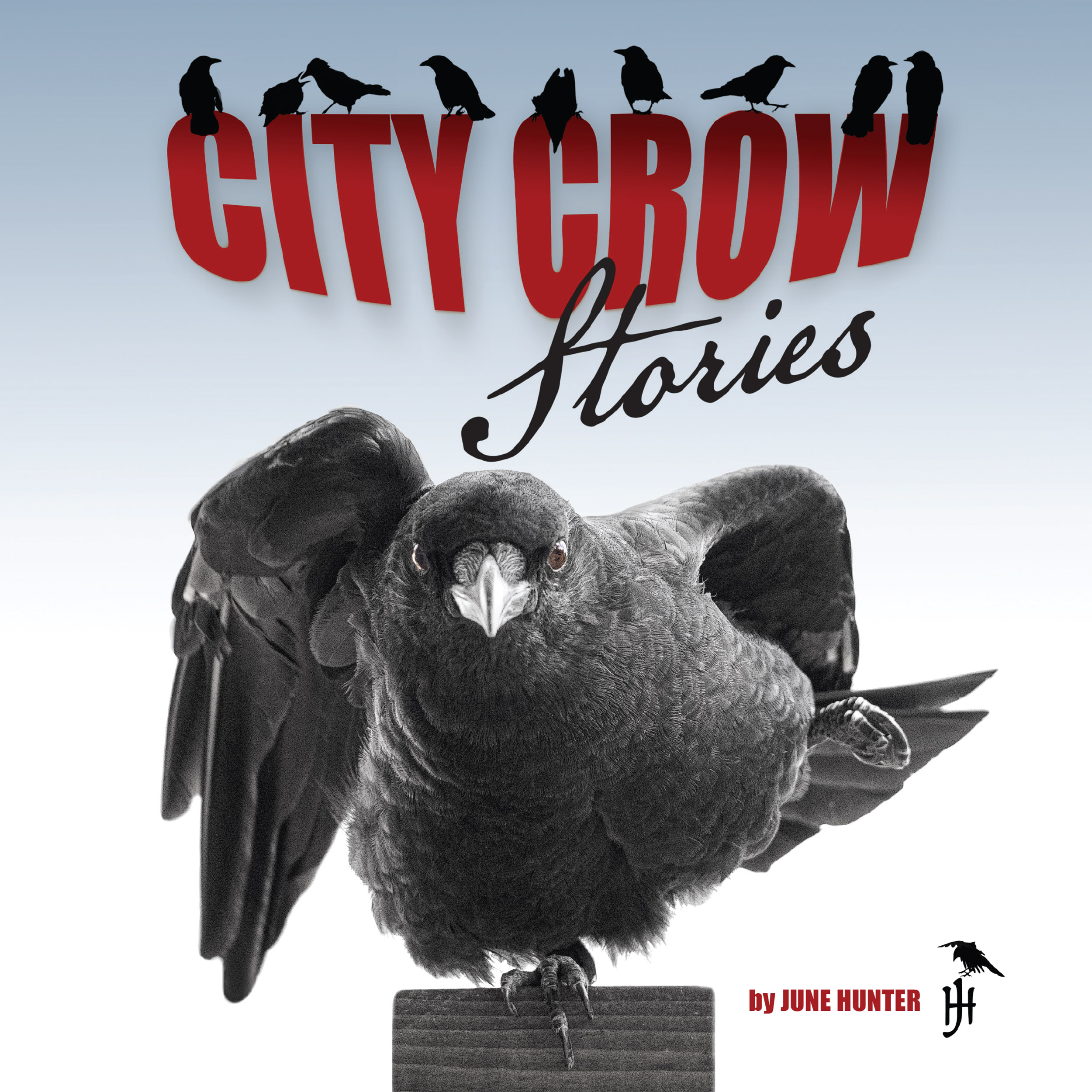 crow stories front cover | The Urban Nature Enthusiast