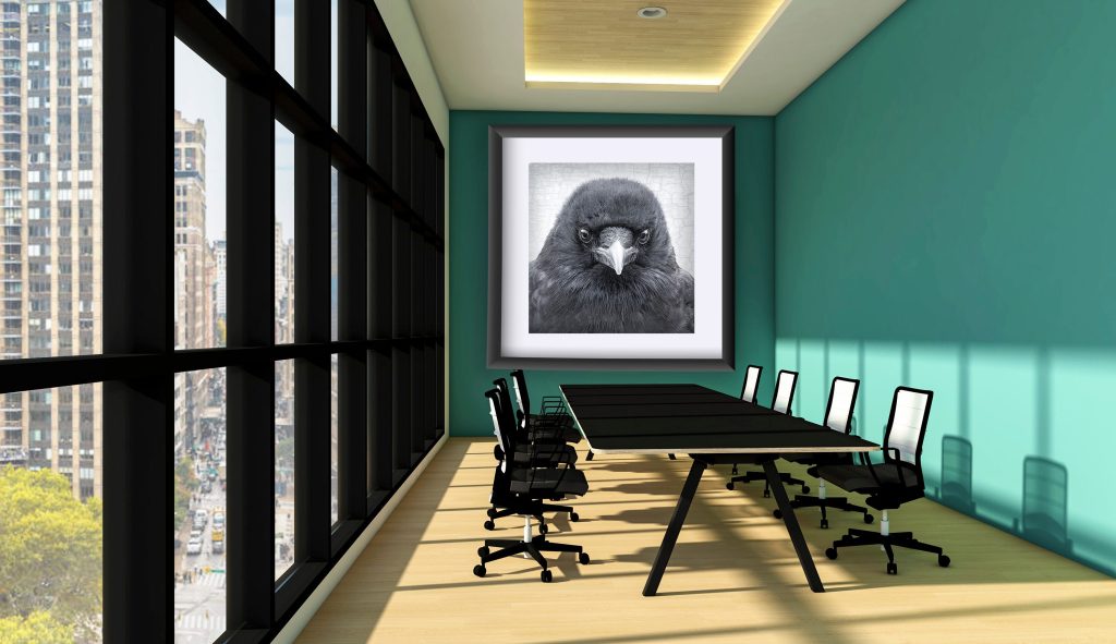 Crows in the Boardroom | The Urban Nature Enthusiast