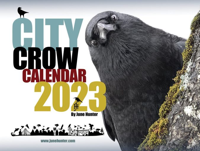 Crow Stories | The Urban Nature Enthusiast