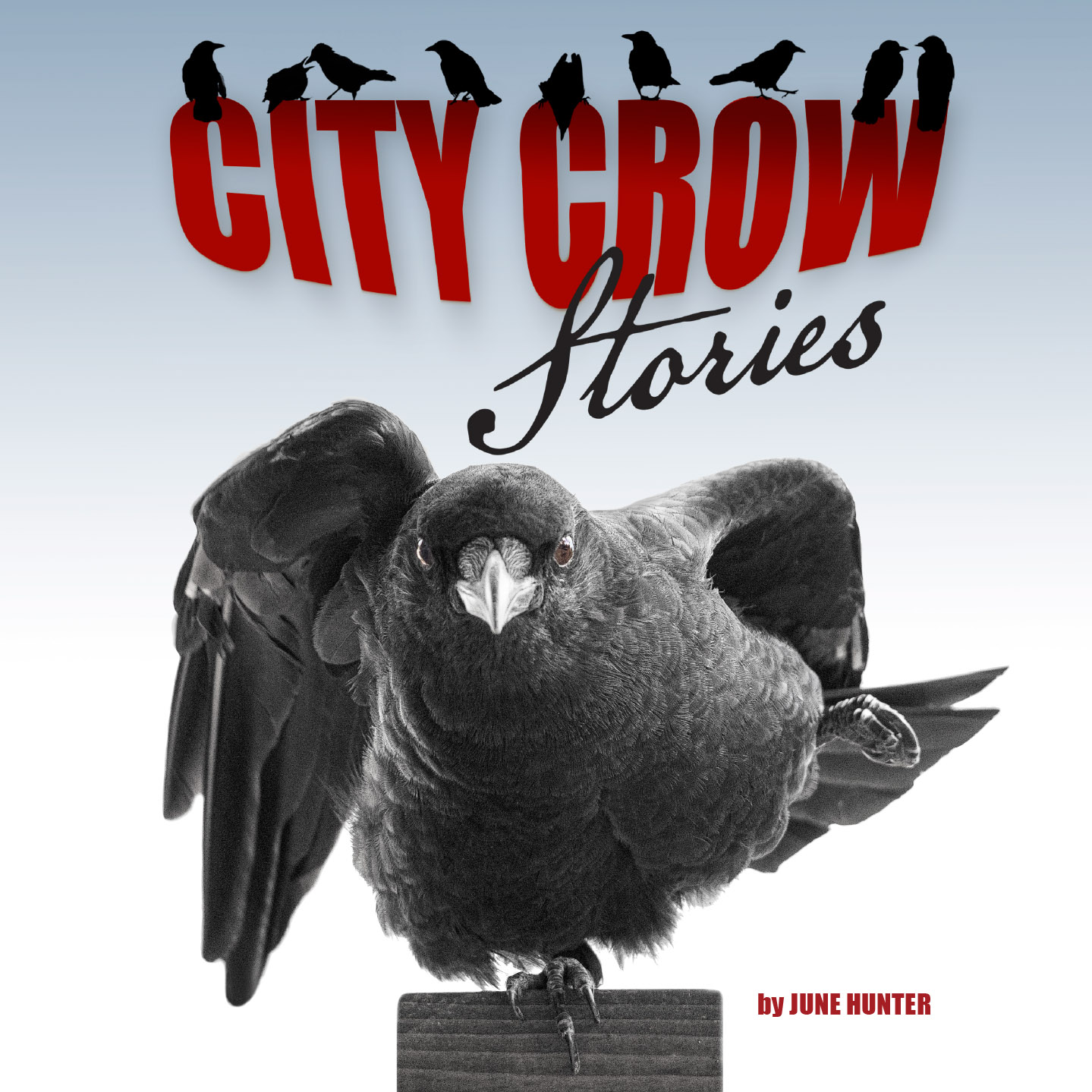 CITY CROW STORIES COVER sq Apr 8 | The Urban Nature Enthusiast