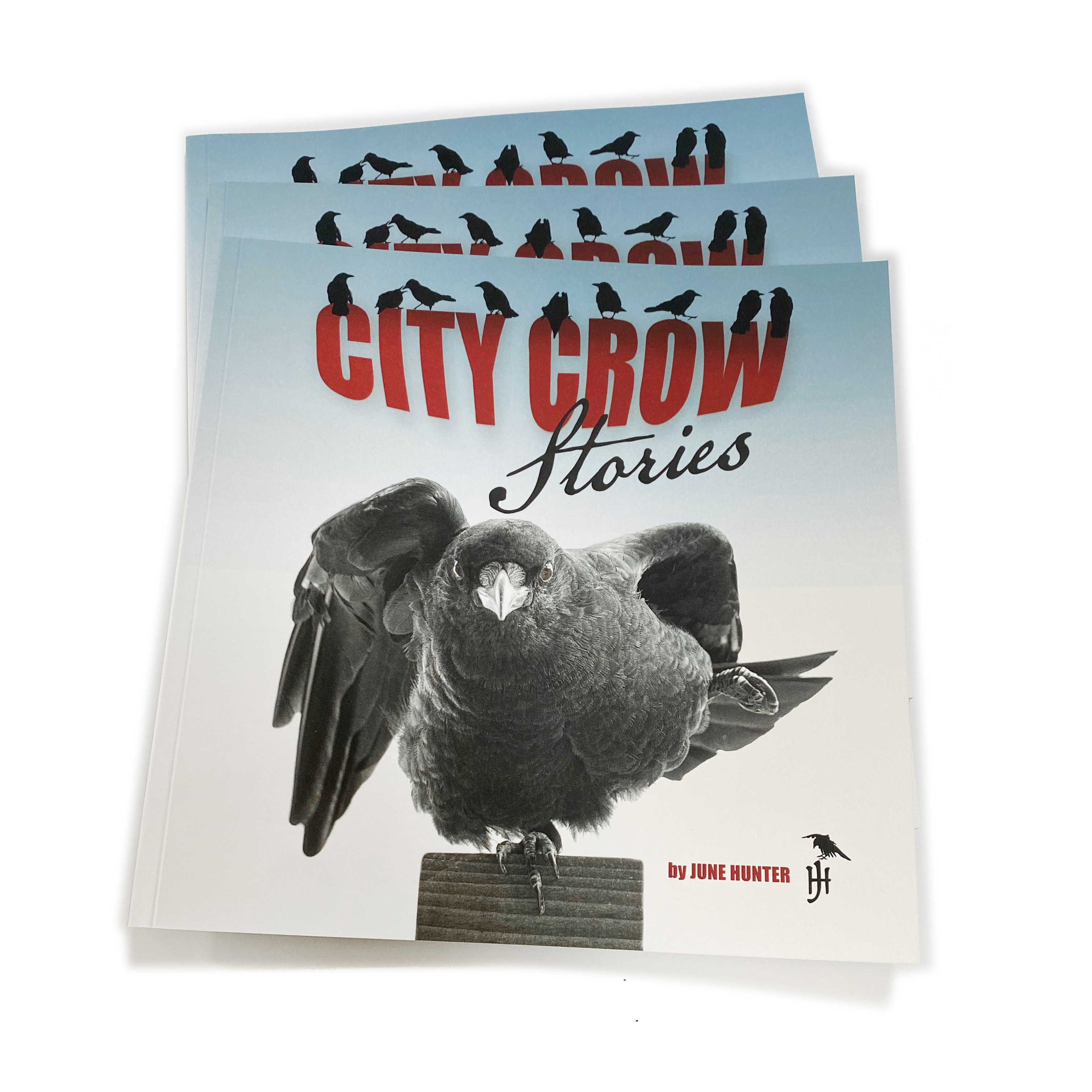 City crow stories stack | The Urban Nature Enthusiast