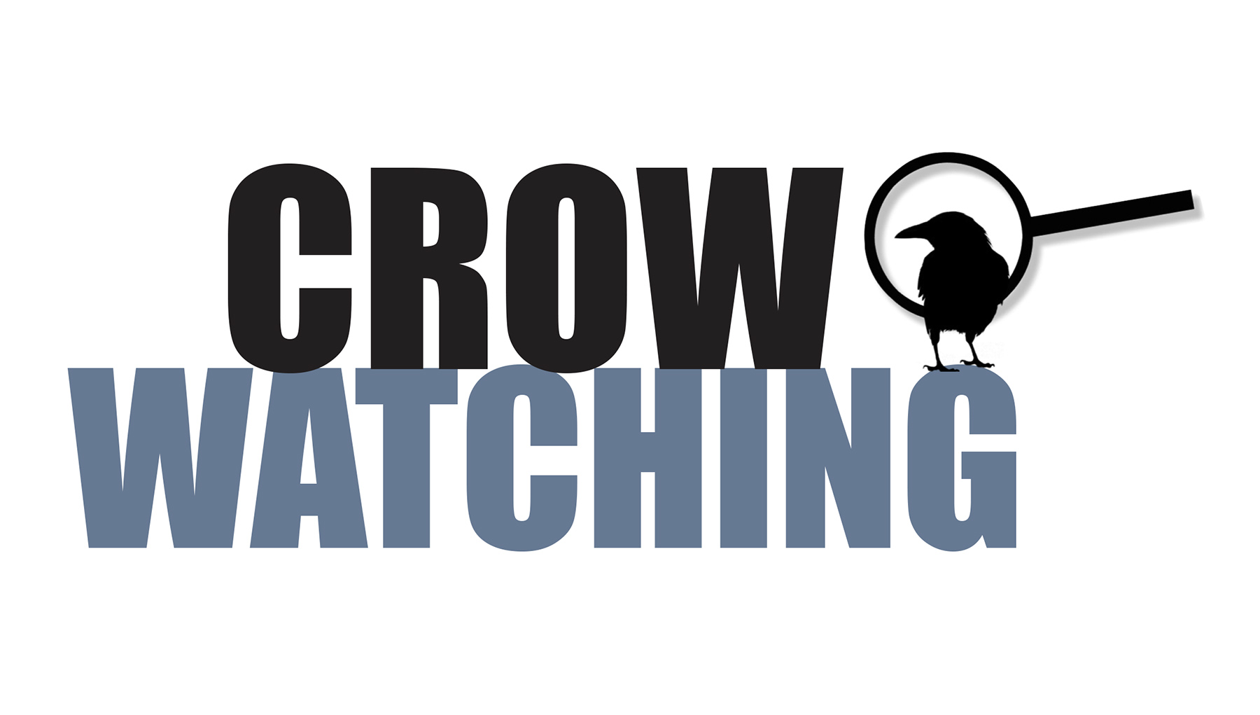 Crow watching 2023 | The Urban Nature Enthusiast