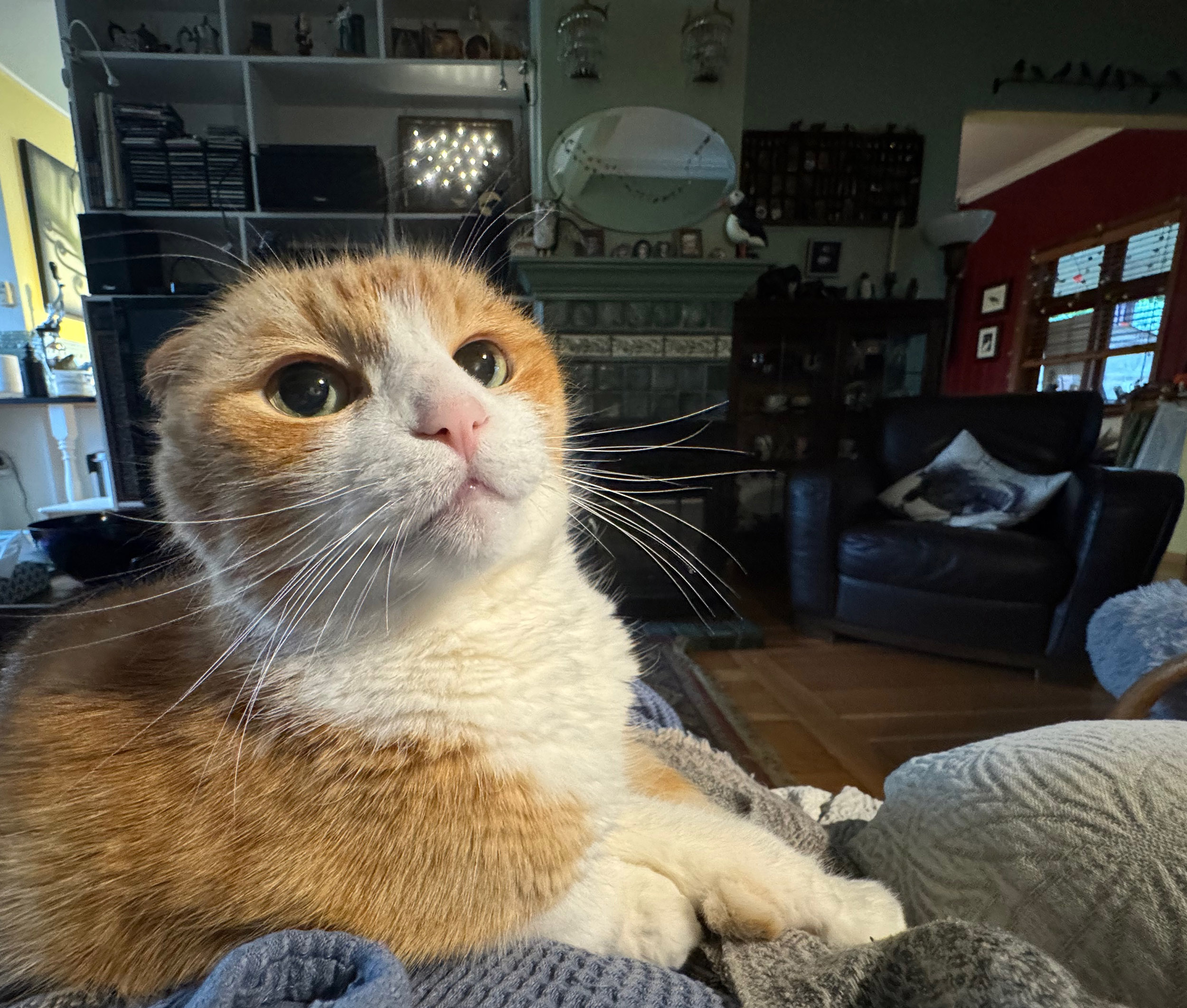 Edgar the reading companion | The Urban Nature Enthusiast