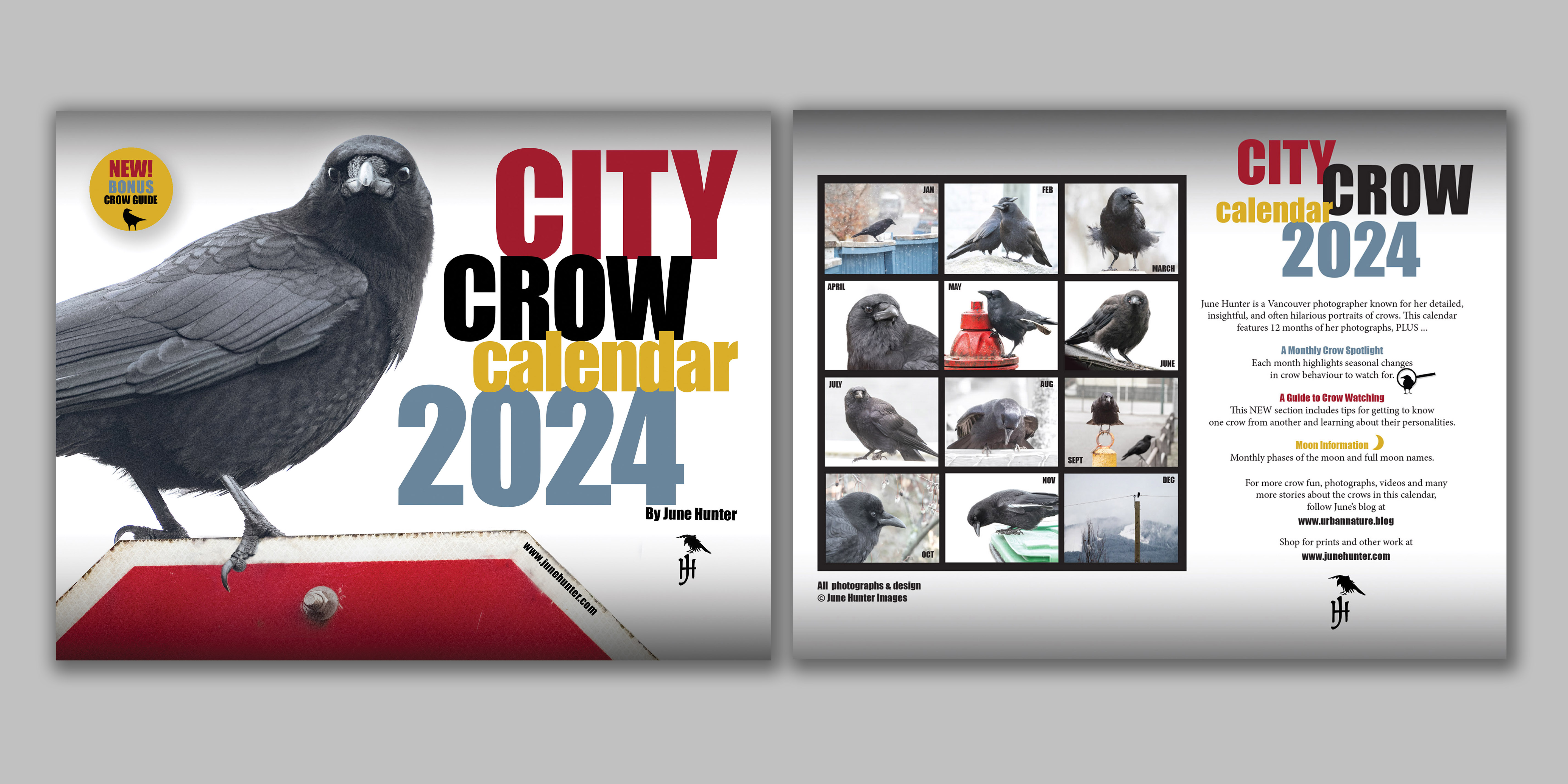 2024-City-Crow-Calendar-banner | The Urban Nature Enthusiast