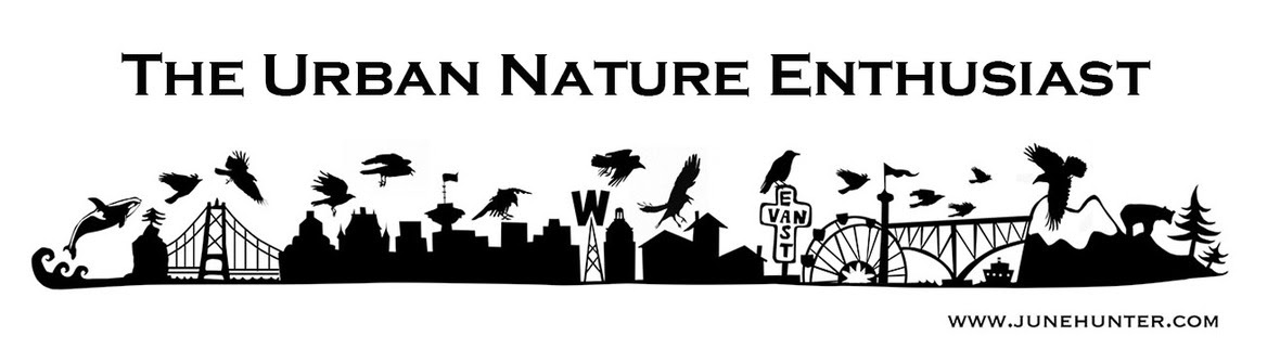 June Hunter | The Urban Nature Enthusiast