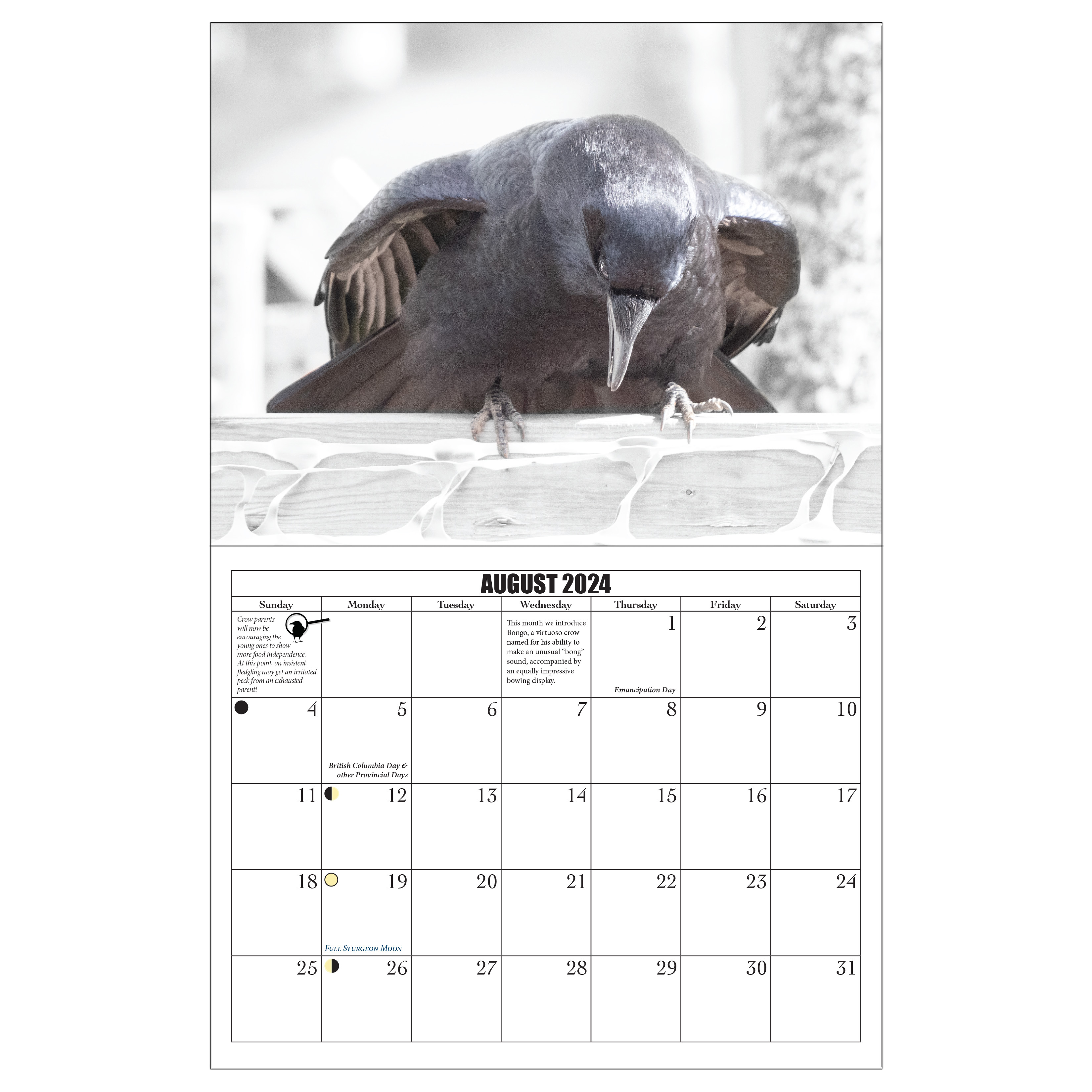 Aug-2024-spread | The Urban Nature Enthusiast