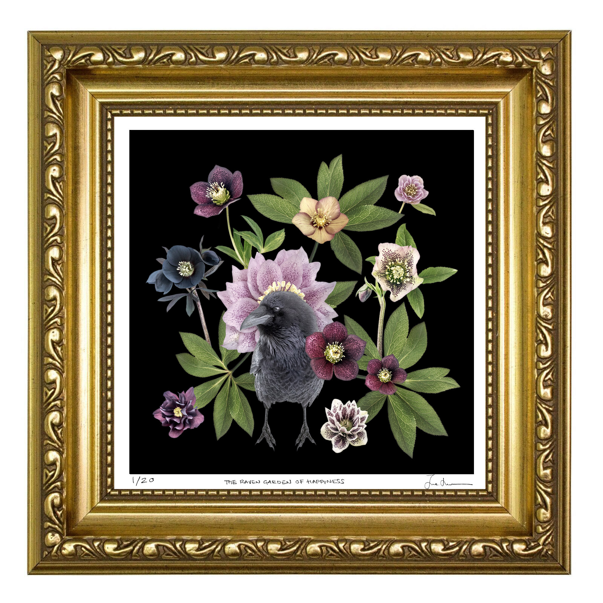 gold frame layers ltd edition raven garden of happiness print | The ...