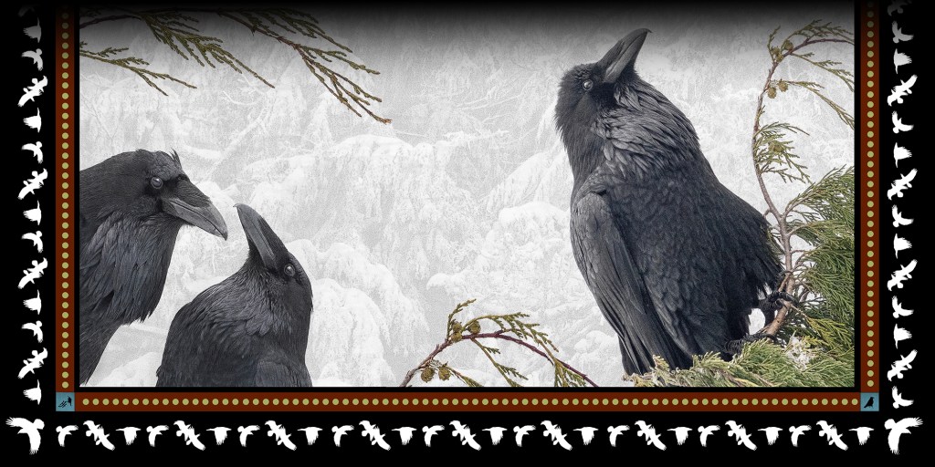 Recipe for a Raven Scarf | The Urban Nature Enthusiast